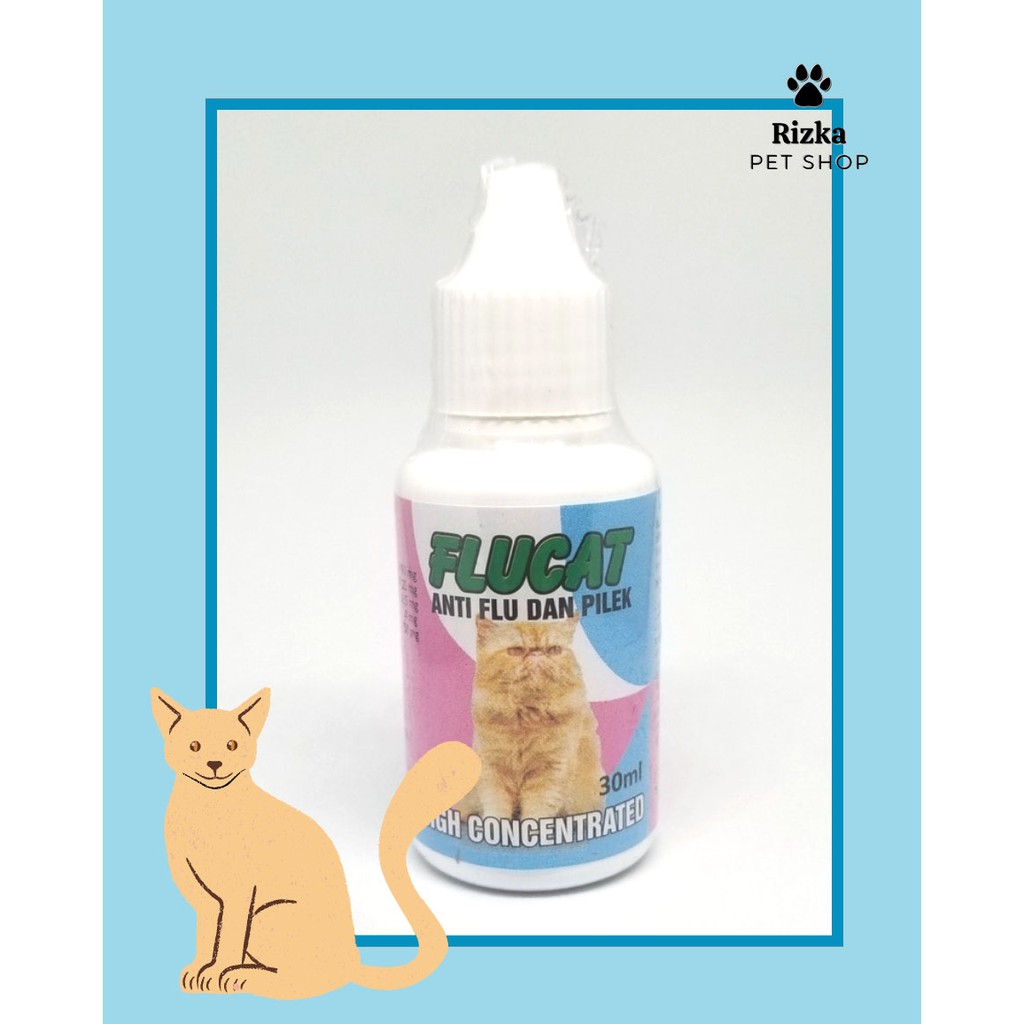 Jual FLUCAT obat Flu dan pilek Kucing | Shopee Indonesia