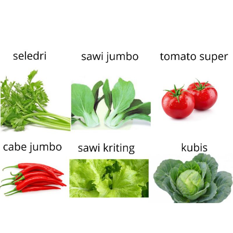 Jual benih sayuran/biji sayuran murah | Shopee Indonesia