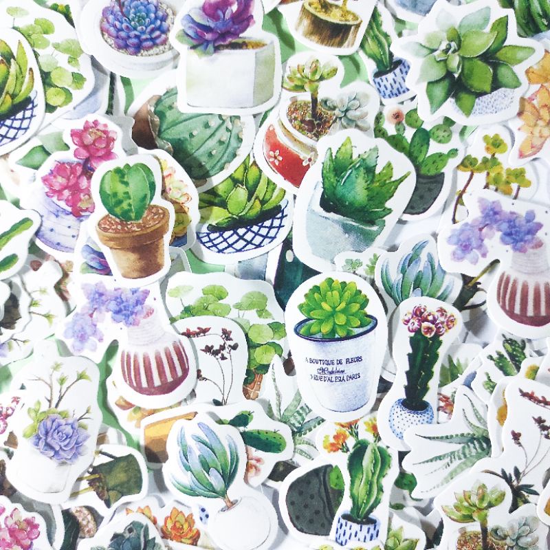 Jual (5pcs) Stiker Kaktus Sukulen 1 | Cactus Succulent Sticker | Bahan ...