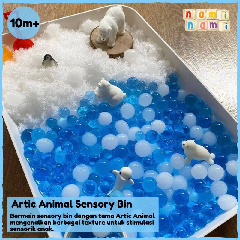 Jual Mainan Edukasi Sensory Toys Sensory Bin Education Toys Mainan ...