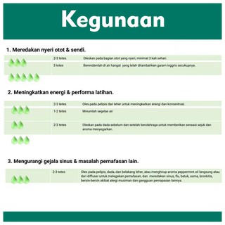 Jual Oil Peppermint Obat Perut Kembung Ppo 100% Pure Peppermint Oil ...