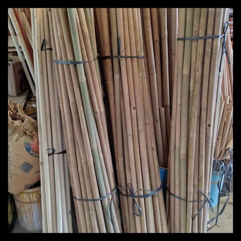 Jual TONGKAT/TOYA PRAMUKA 160cm BAHAN BAMBU POLOS | Shopee Indonesia