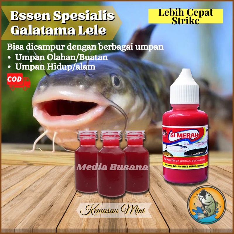 Jual Essen Esen Ikan Lele Galatama Lele Ampuh Paling Jitu Irex Merah ...