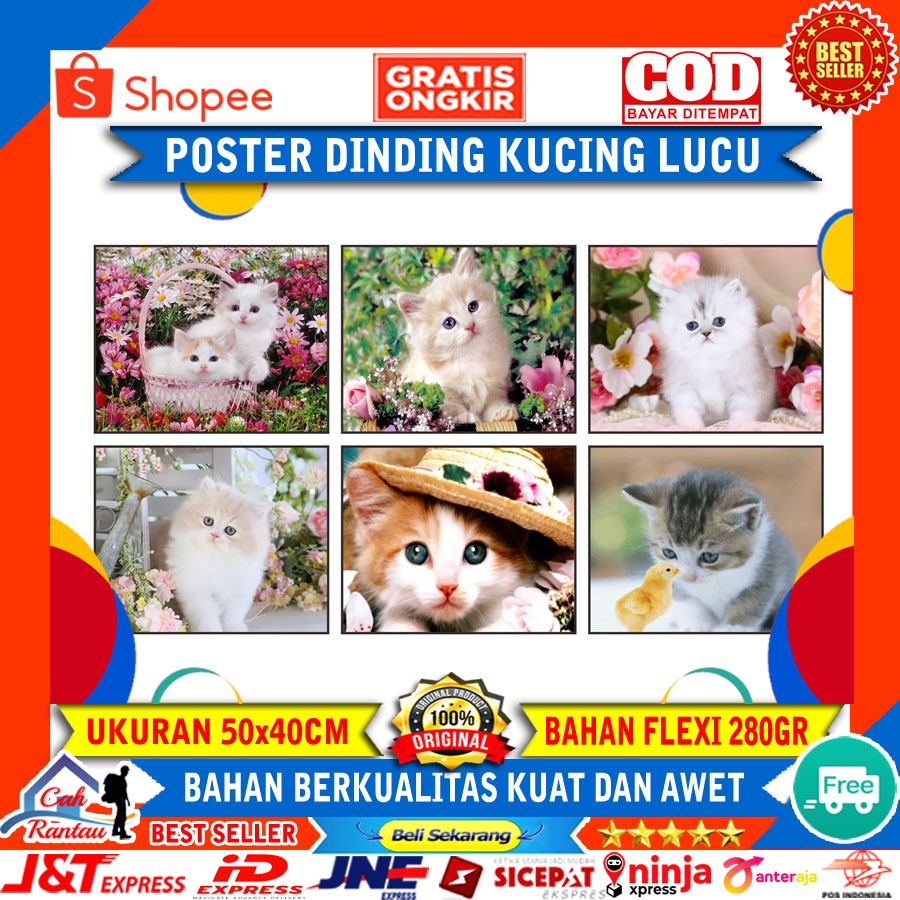 Jual Poster Dekorasi Dinding Kamar Walpaper Dinding Ruang Tamu Gambar ...