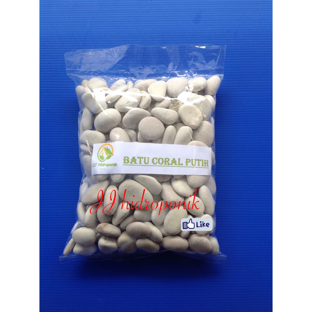 Jual Batu Koral/coral putih untuk hiasan Tanaman dan Taman (2.000 gram ...