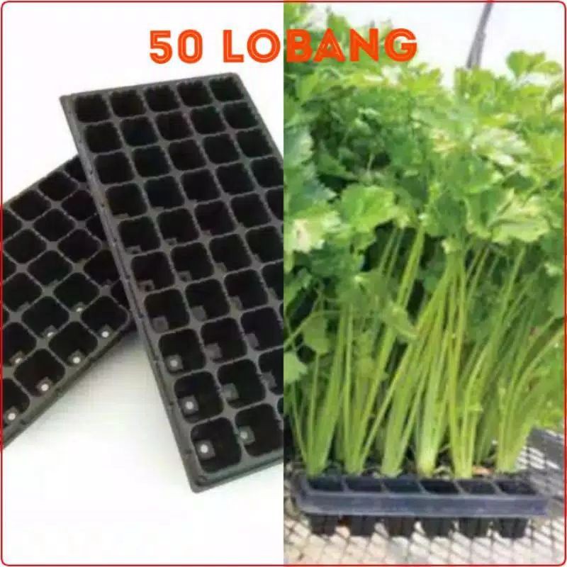 Jual pottray/Pot Tray/Tray semai 50 Lobang | Shopee Indonesia