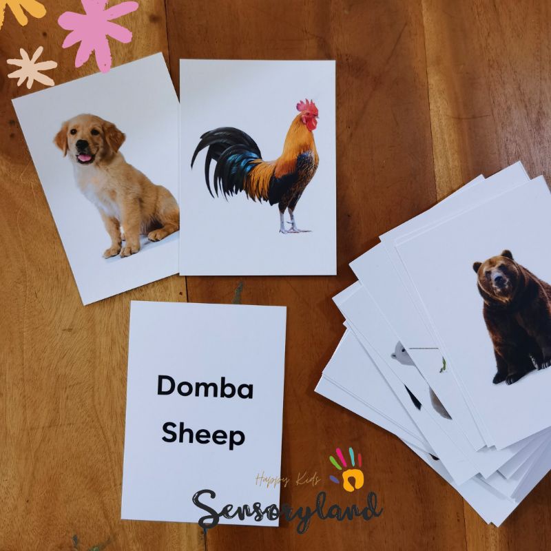 Jual Flashcard Hewan | Shopee Indonesia