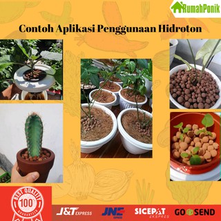 Jual Hidroton Jerman Per 1/2 Liter Media Tanam Hidroponik - Hydroton ...