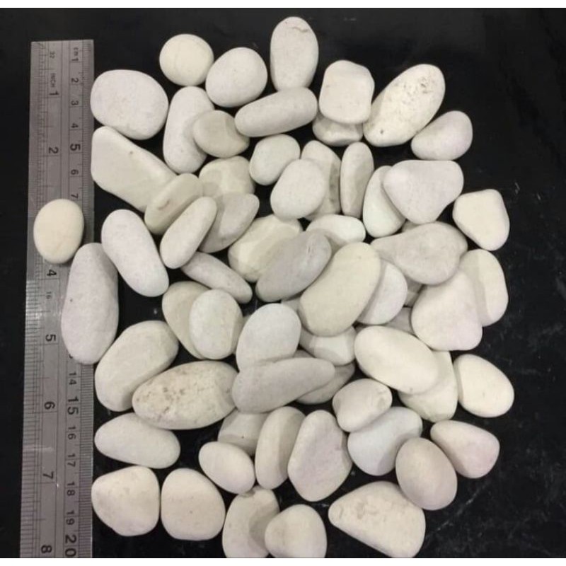 Jual Batu Alam Putih / Batu Hias Putih 1Kg | Shopee Indonesia
