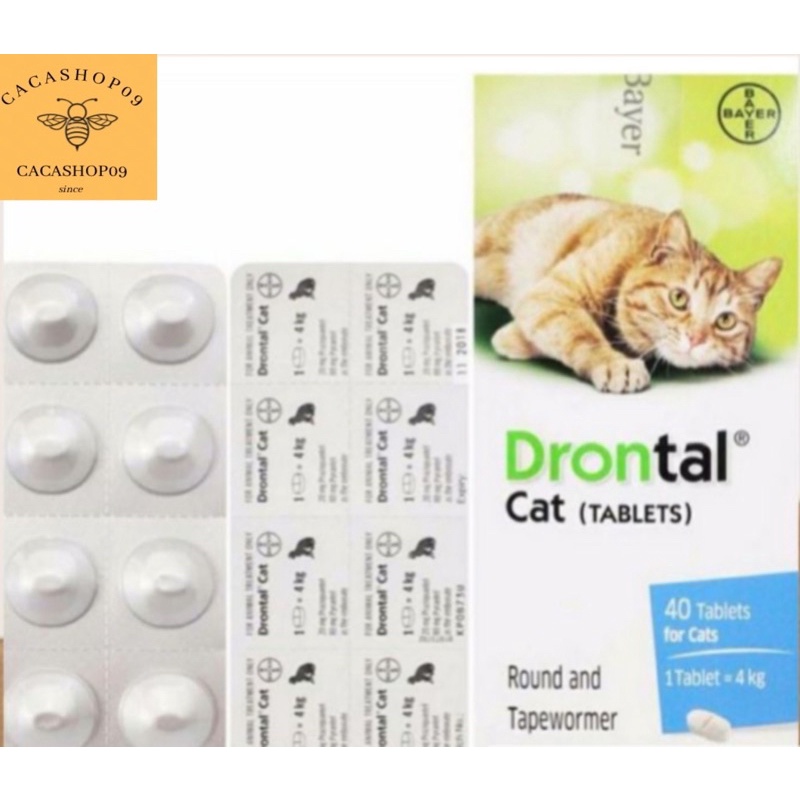 Jual Drontal Cat - Obat cacing kucing Cat | Shopee Indonesia