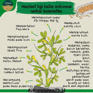 Jual Biji Halba Avicennahealt 1000gr | Asli Fenugreek Seed Kelabat ...
