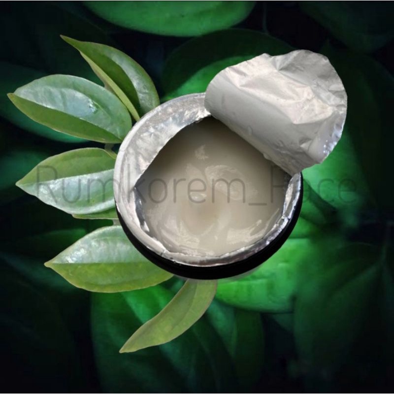 Produk Rumkorem_Pace (Daun Bungkus) | Shopee Indonesia