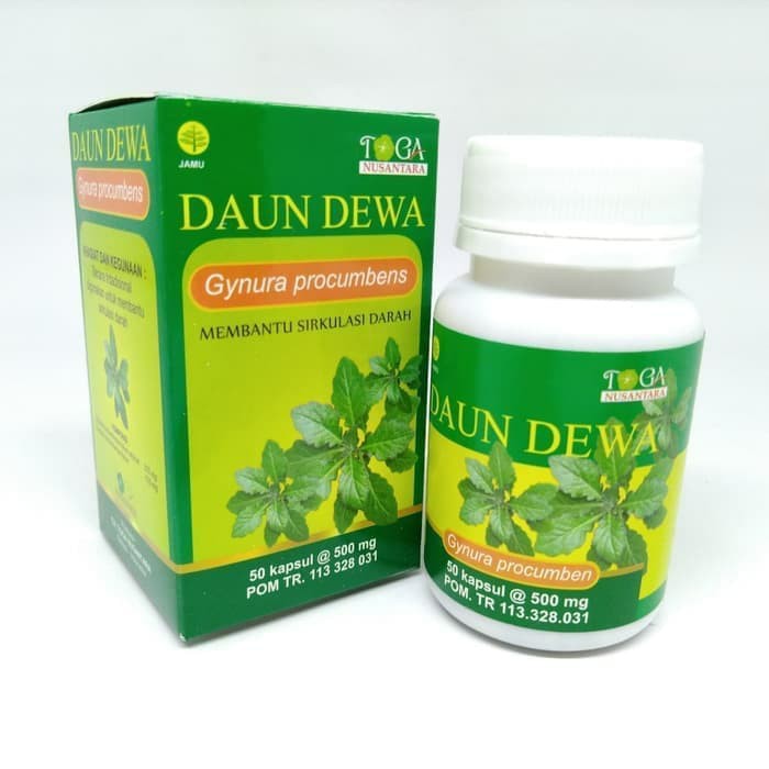 Jual Kapsul Daun Dewa (Sambung Nyawa/Nyowo) Obat Pengencer darah ...