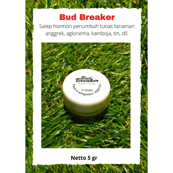 Jual Salep Bud Breaker (hormon tunas) Indonesia|Shopee Indonesia