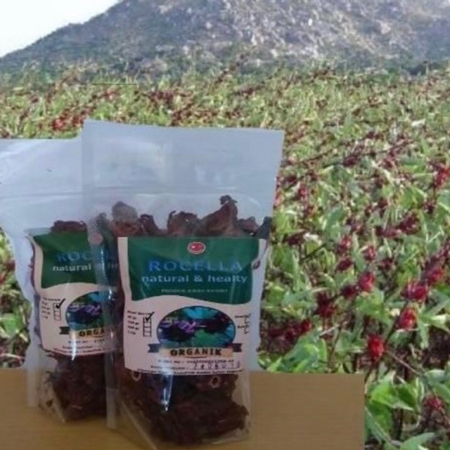 Jual ROSELLA MERAH KERING GUNUNG WILIS/TEH ROSELLA | Shopee Indonesia