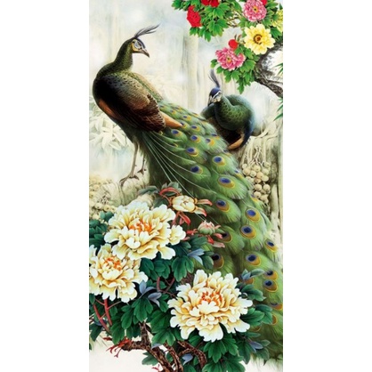 Jual Hiasan dinding cetak gambar plus bingkai sepasang burung merak ...