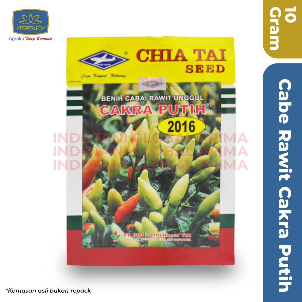 Jual Benih Cabe Rawit CAKRA PUTIH 10 gram - Cap Kapal Terbang Indonesia ...