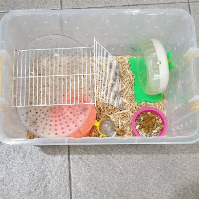 Jual Kandang marmut modifikasi | Shopee Indonesia