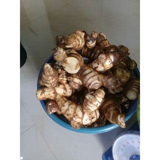 Jual Umbi ganyong ganyol segar 1kg | Shopee Indonesia