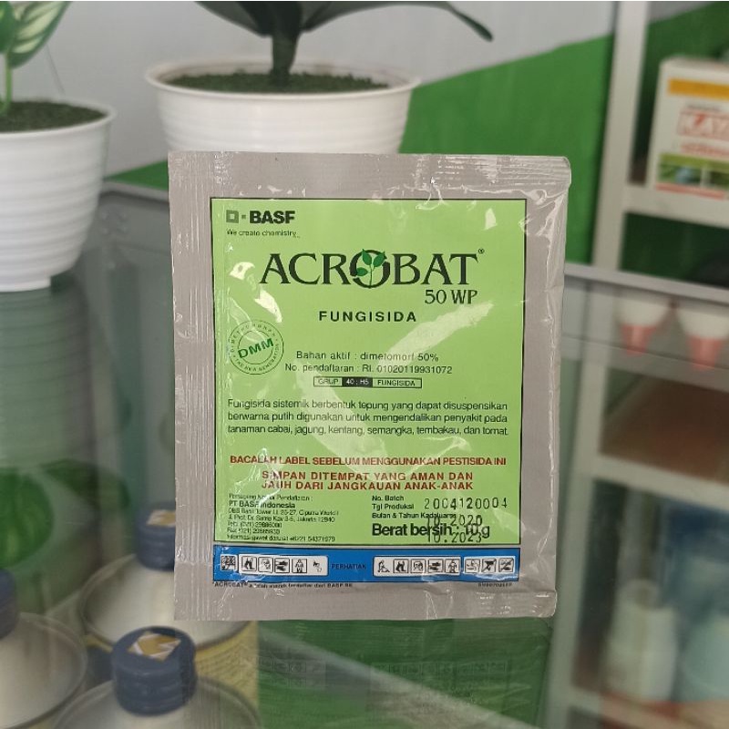 Jual Fungisida acrobat akrobat obat jamur bulai busuk | Shopee Indonesia