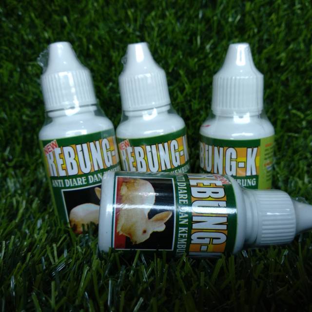 Jual Obat kembung kelinci (REBUNG-K) | Shopee Indonesia Jual Obat kembung kelinci (REBUNG-K) | Shopee Indonesia