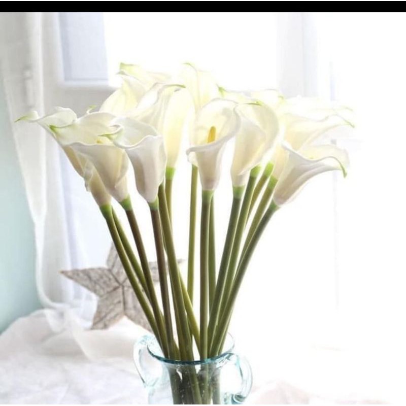Jual bunga calla lily jumbo premium Indonesia|Shopee Indonesia