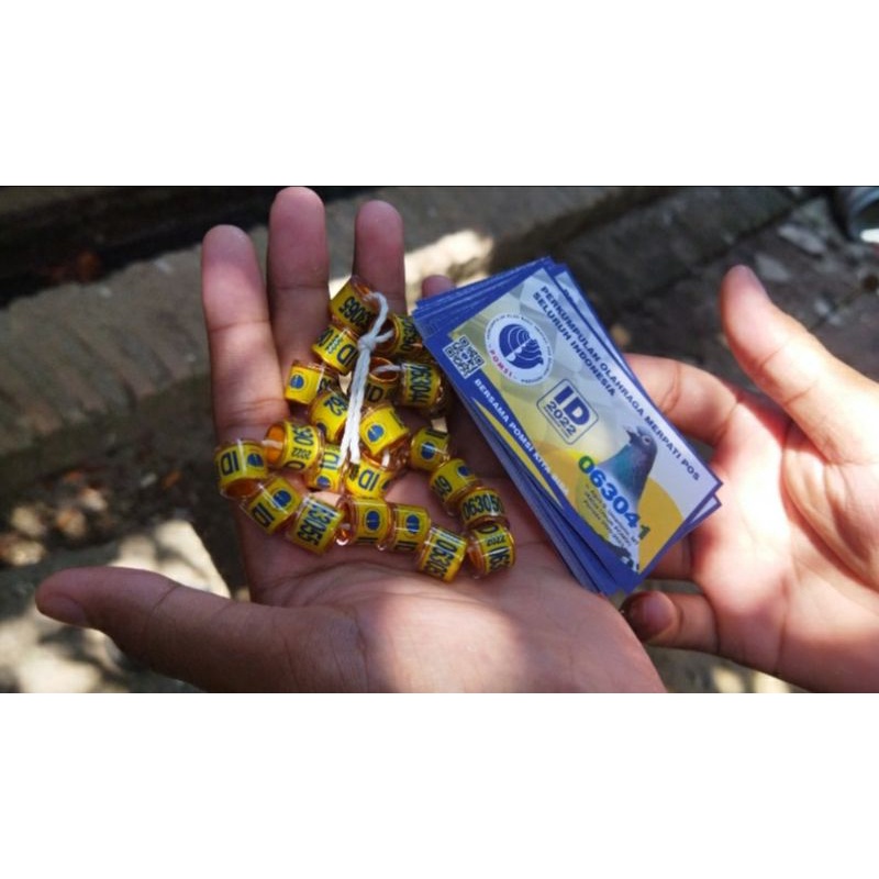 Harga ring id 2022 merpati Terbaru Nov 2025 | BigGo Indonesia