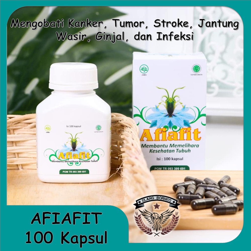 Jual Afiafit 100 Kapsul 50 Kapsul Obat Herbal Kanker Tumor Stroke ...