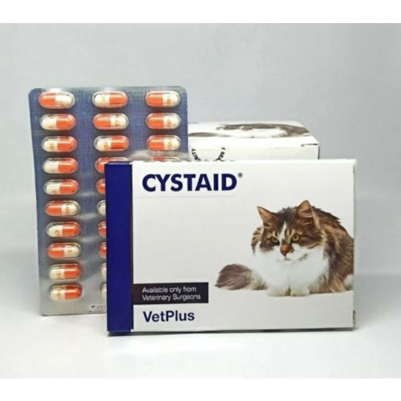 Jual cystaid cat plus for urinary tract capsule obat masalah kencing ...