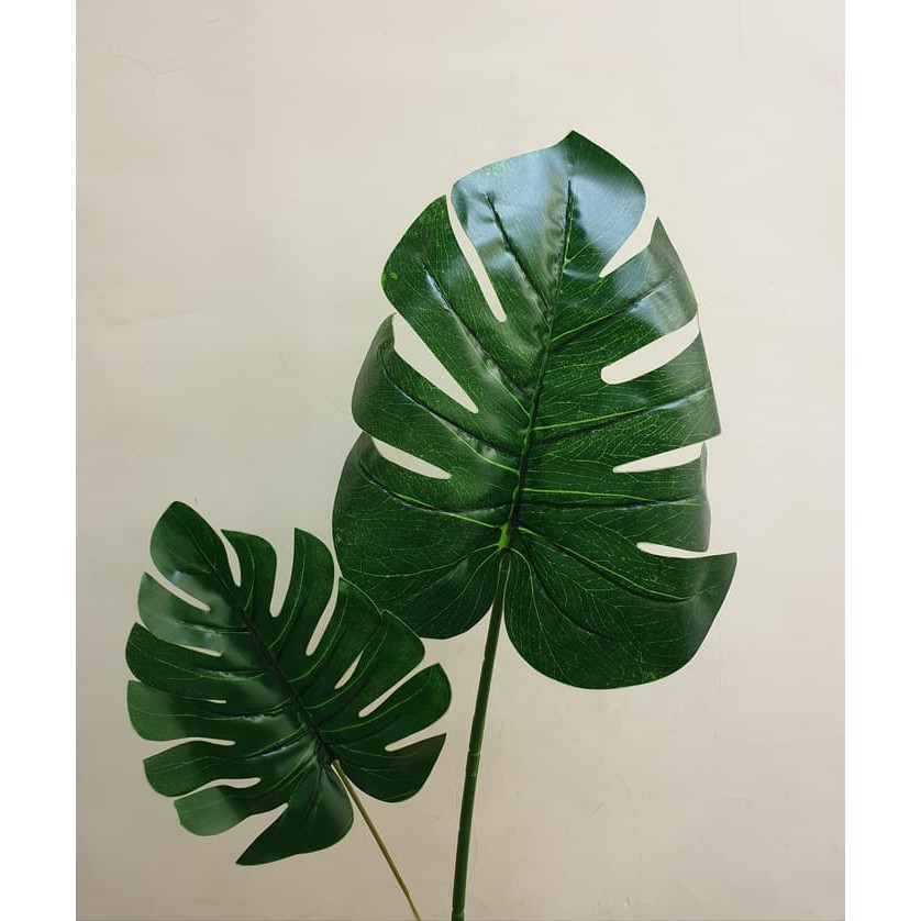 Jual Daun MONSTERA Artificial | Shopee Indonesia