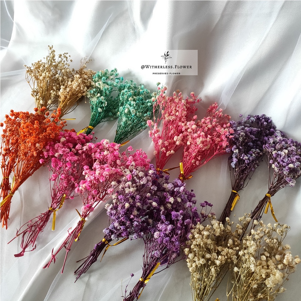 Jual 5 gr Preserved Baby's Breath Mini / Dried Flower Awetan / Bunga ...