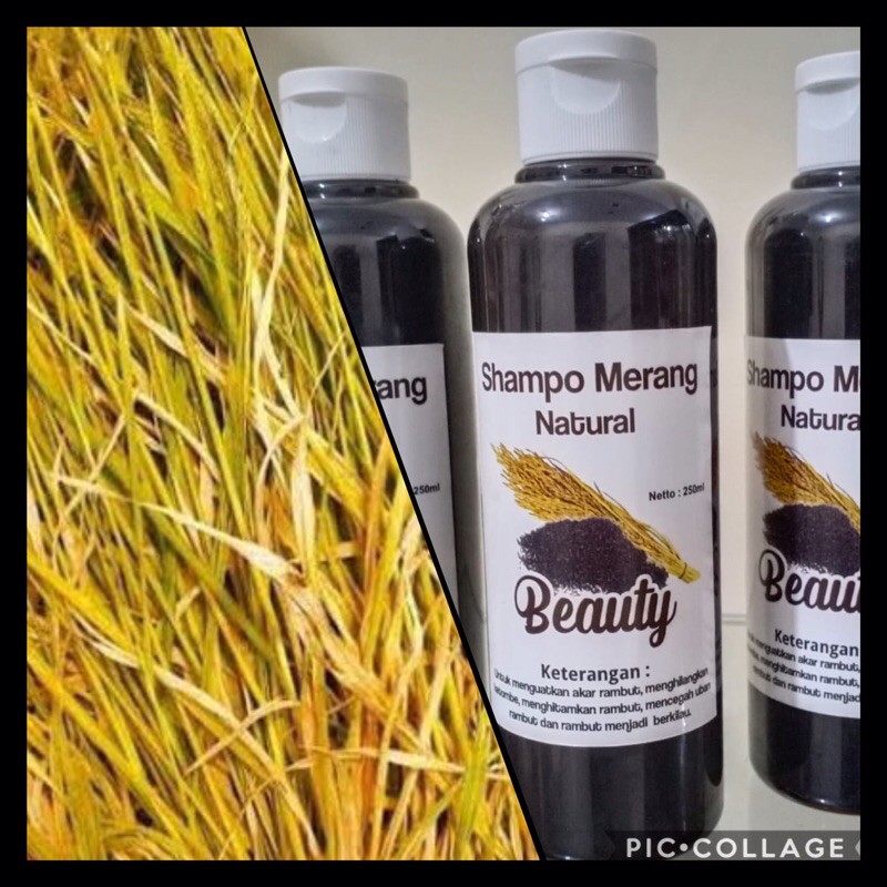 Jual BACK TO NATURE !! Dwi Fungsi Shampoo Merang. untuk keramas dan ...