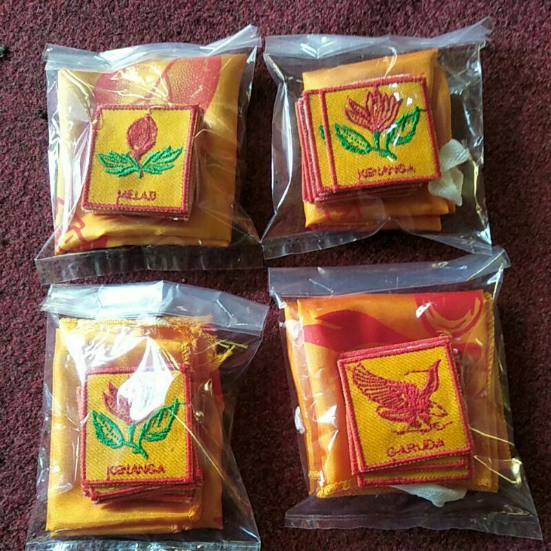 Jual paket 1 bendera regu dan 10 bet regu putra & putri siaga | Shopee ...