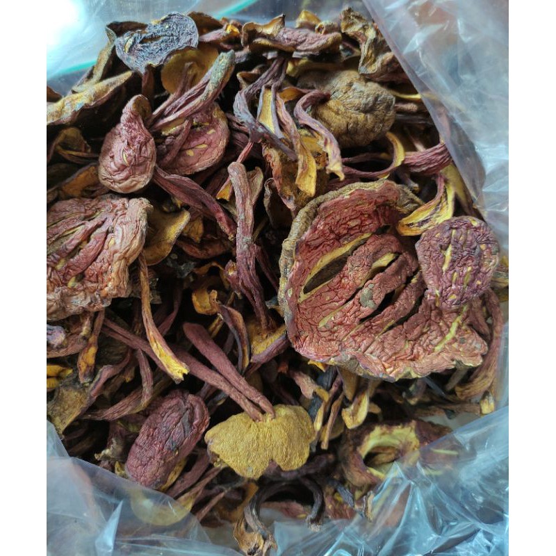 Jual Jamur Kulat Pelawan Premium Belitung | Shopee Indonesia