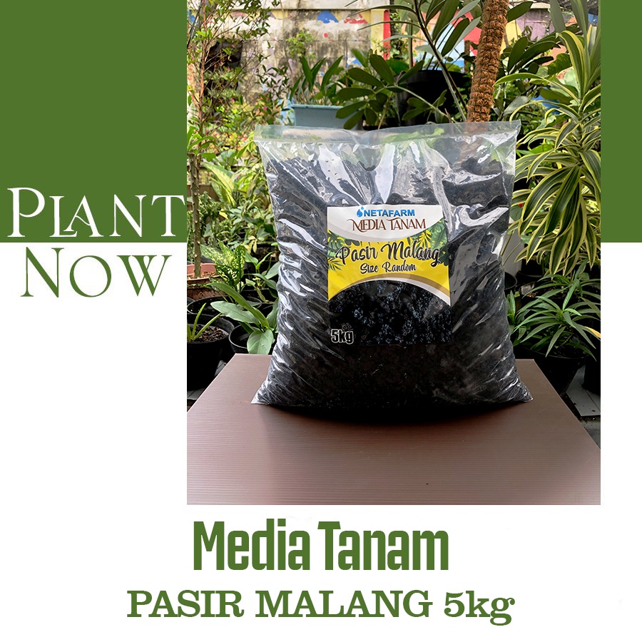Jual Media Tanam - PASIR MALANG VULKANIK size Kecil isi 5kg | Shopee ...