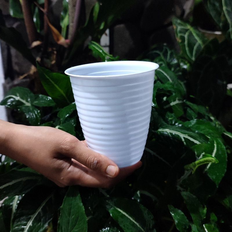 Jual Pot Bunga Tawon Tinggi Plastik - Putih Indonesia|Shopee Indonesia