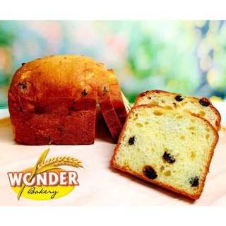 Jual ROTI TELUR WONDER (OLEH-OLEH KHAS SALATIGA ) | Shopee Indonesia