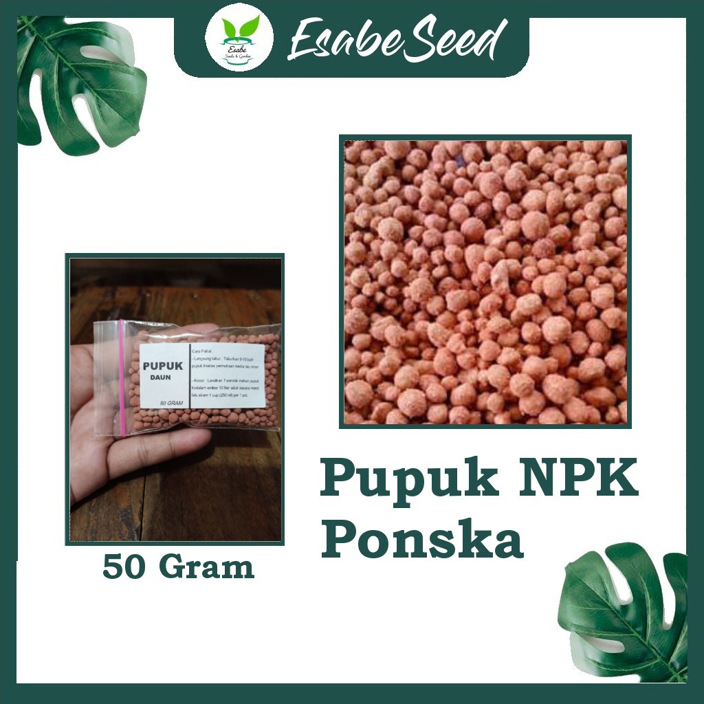 Jual Pupuk NPK Ponska Nutrisi Pertumbuhan Benih Tanaman Sayuran & Bibit ...