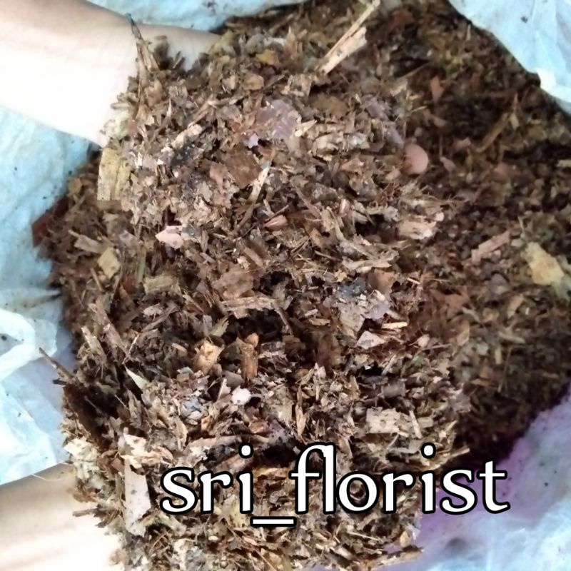 Jual Humus daun bambu fermentasi | Shopee Indonesia