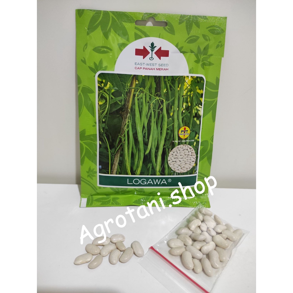 Jual Benih Buncis Logawa F1 -Kemasan Repack- Cap Panah Merah | Shopee ...