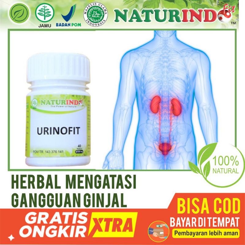 Jual Obat prostat ganguan ginjal kandung kemih infeksi saluran kencing ...