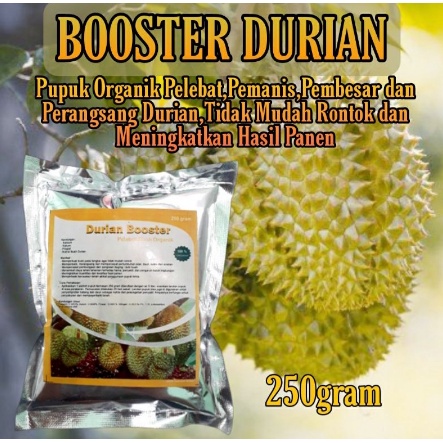 Jual Pupuk Booster Organik Pelebat Buah Durian dan Perangsang Durian Agar Berbuah Lebat pupuk ...