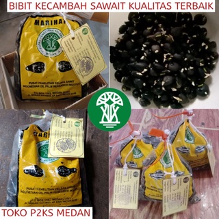 Jual Bibit Kecambah Sawit Unggul PPKS MAREHAT Varietas Marehat Marihat ...