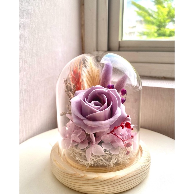 Jual [Msdandelion] petite glass dome | bunga kering | dome kecil ...