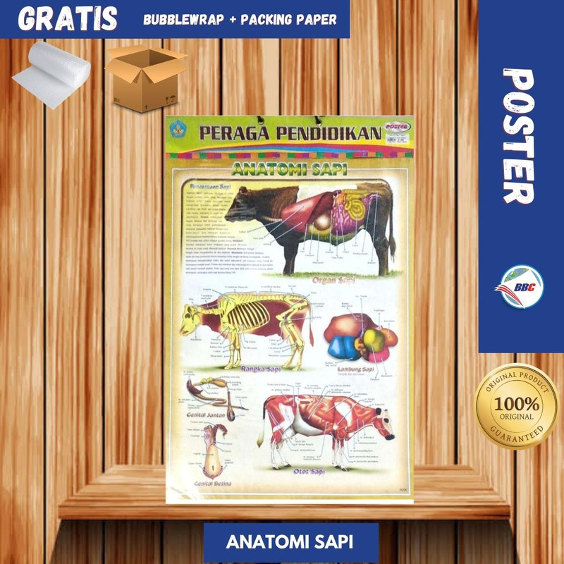 Jual POSTER EDUKASI ANATOMI SAPI | Shopee Indonesia