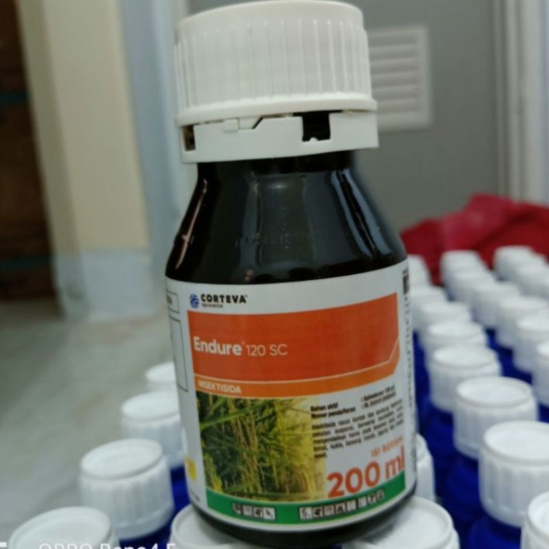 Jual Endure 120sc ( 200 ml ) | Shopee Indonesia