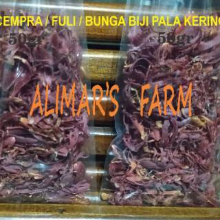 Jual Bunga Buah Biji Pala / Fuli / Cempra / | Shopee Indonesia