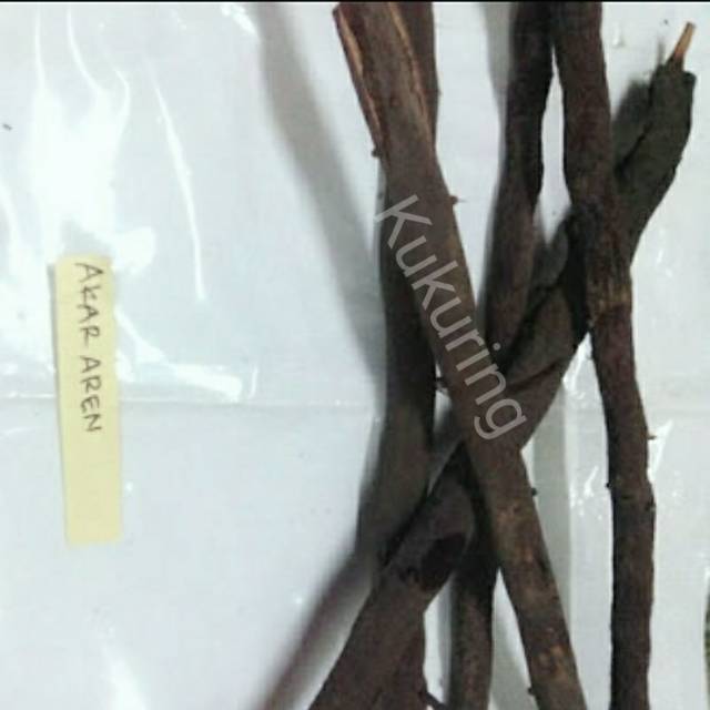 Jual Akar Pohon Aren 1kg | Shopee Indonesia