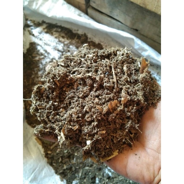 Jual Media Tanam Tanah Humus Daun Bambu 1KG | Shopee Indonesia