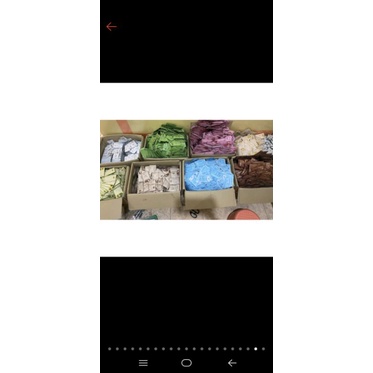 Harga Skinker Terbaru Mei 2022 | BigGo Indonesia